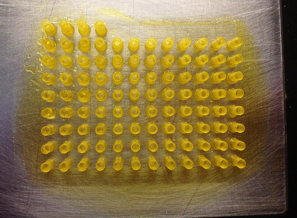 Home | Osteo Engineering Lab